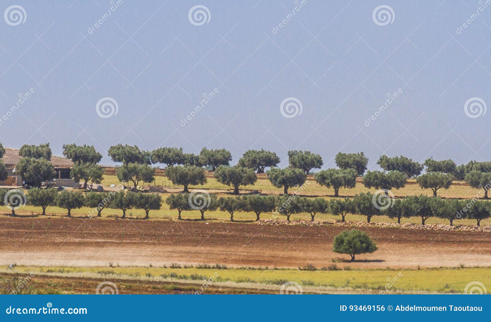 Farm stock photo. Image of algerian, argile, food, erosion - 93469156
