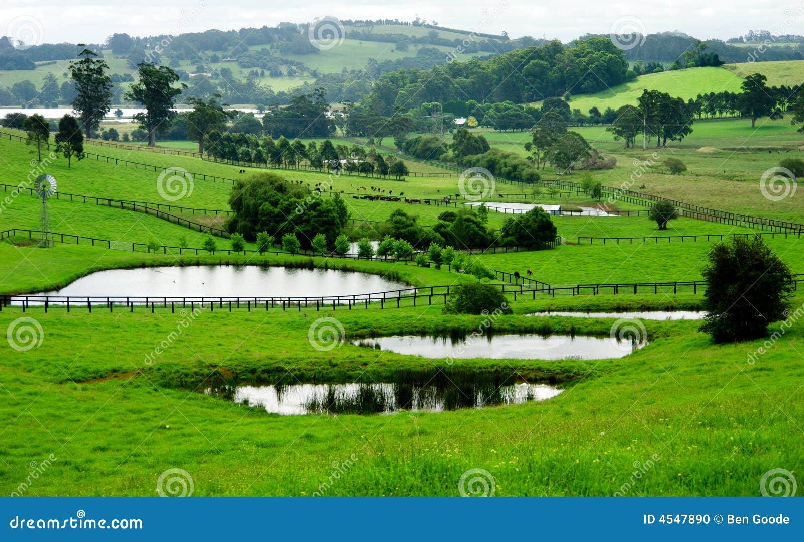 Beautiful Country Farm Land