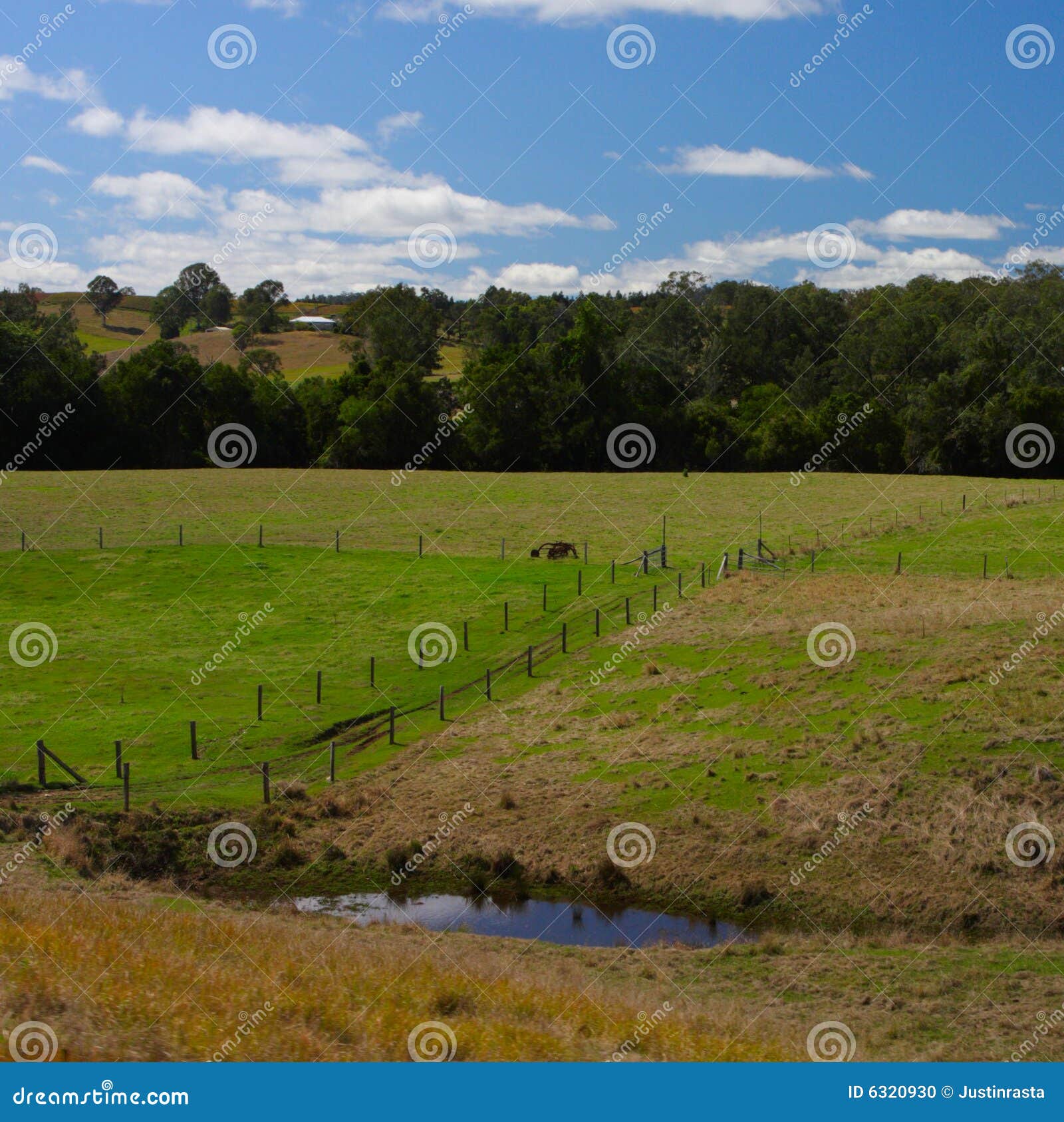 Farm fields stock photo. Image of grass, cows, grazing - 6320930