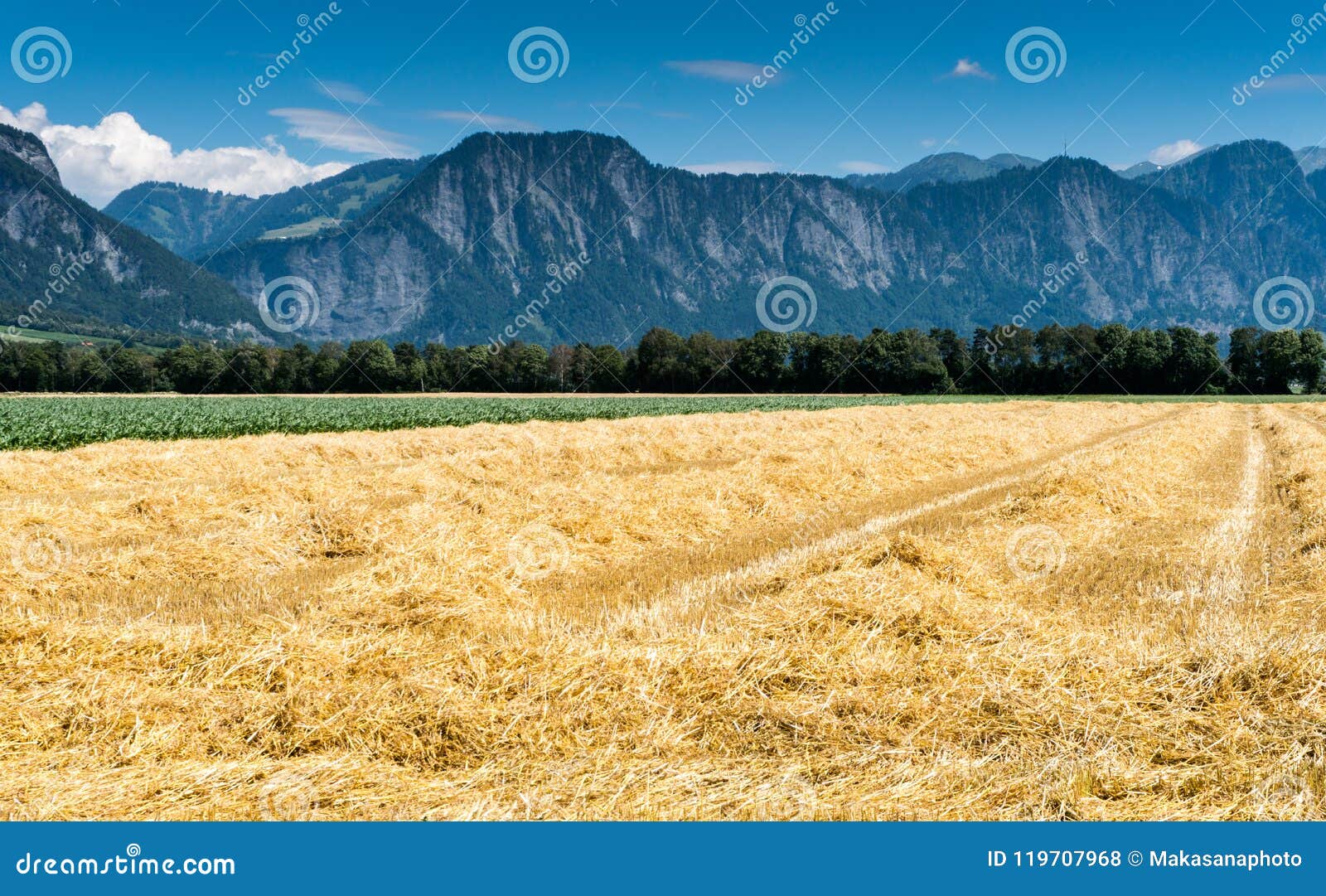 Farm Fields with Fresh Cut Yellow Straw and Mountain Landscape Behind ...