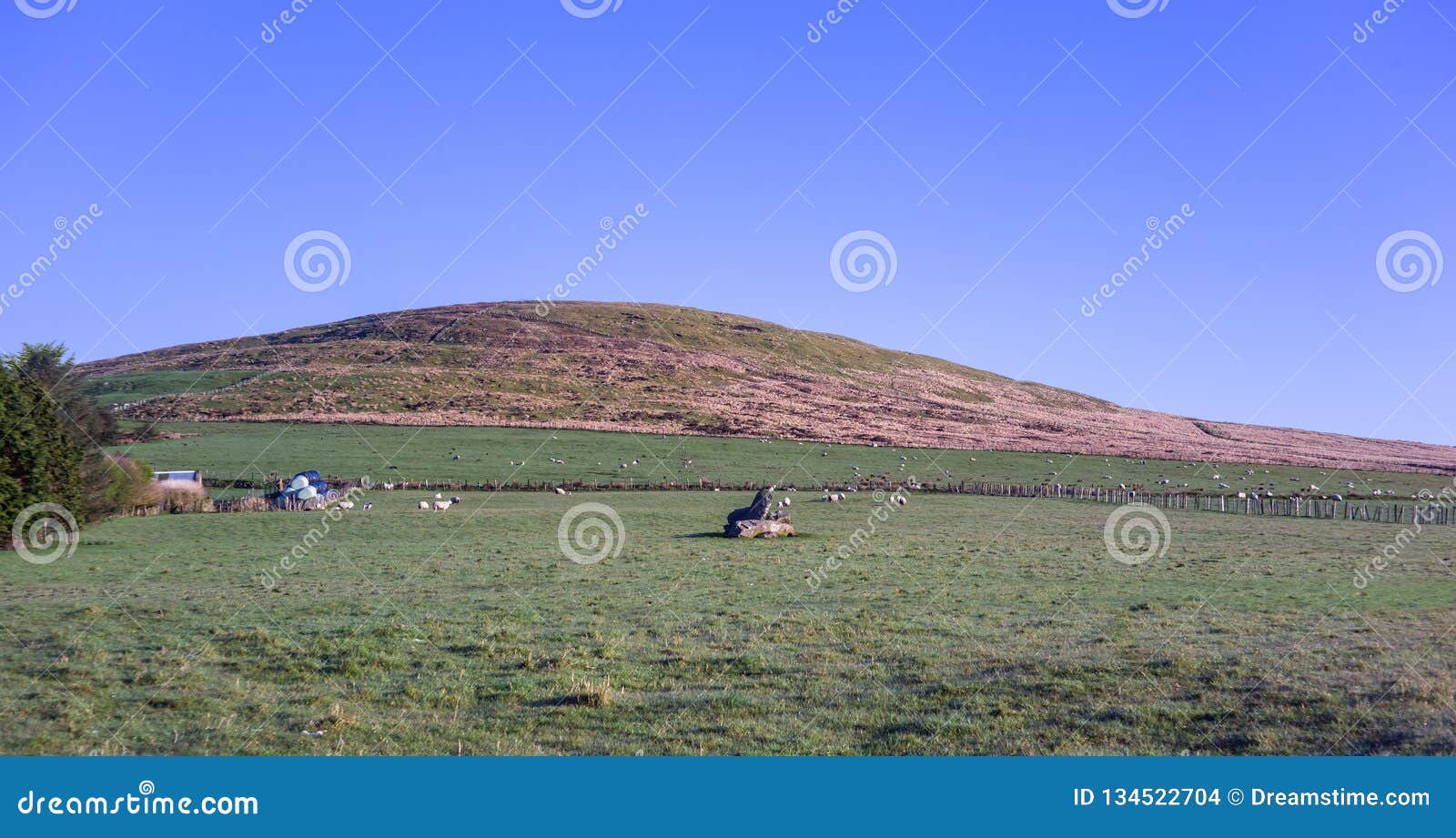 Farm Fields and a Hill in a County Cork on a Sunny Morning in a Spring ...