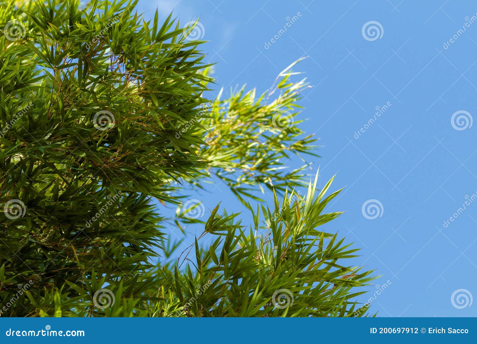 Farm Fields in the Late Afternoon Stock Photo - Image of country ...