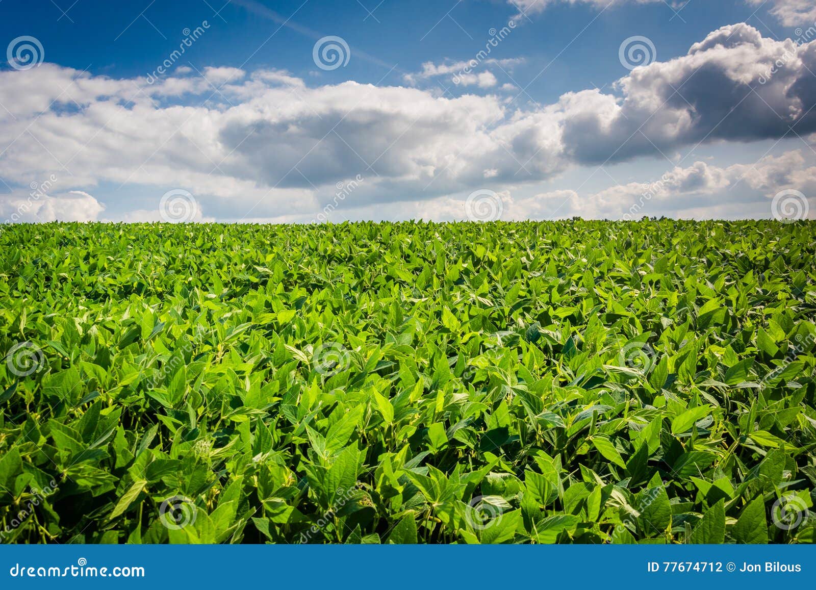 Farm Fields in Rural Baltimore County, Maryland. Stock Photo - Image of ...