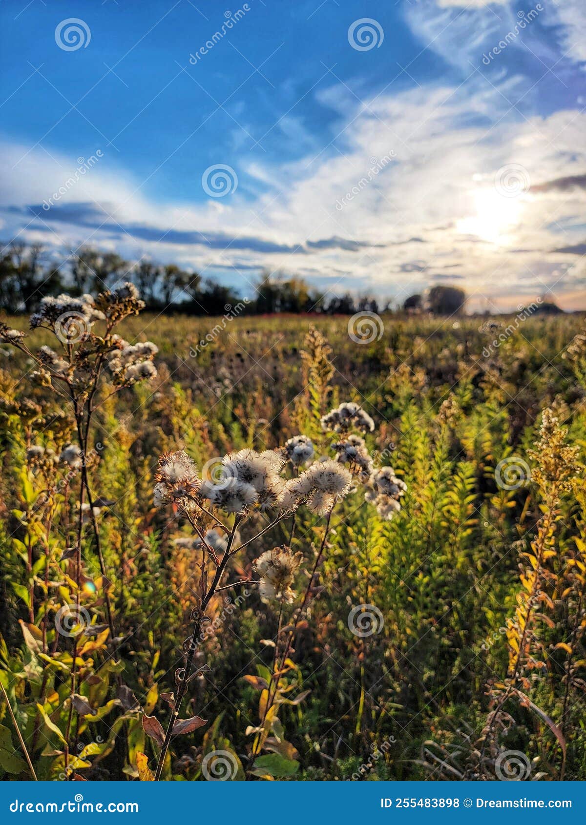 The Farm Fields of Southern Minnesota in Fall Stock Photo - Image of ...