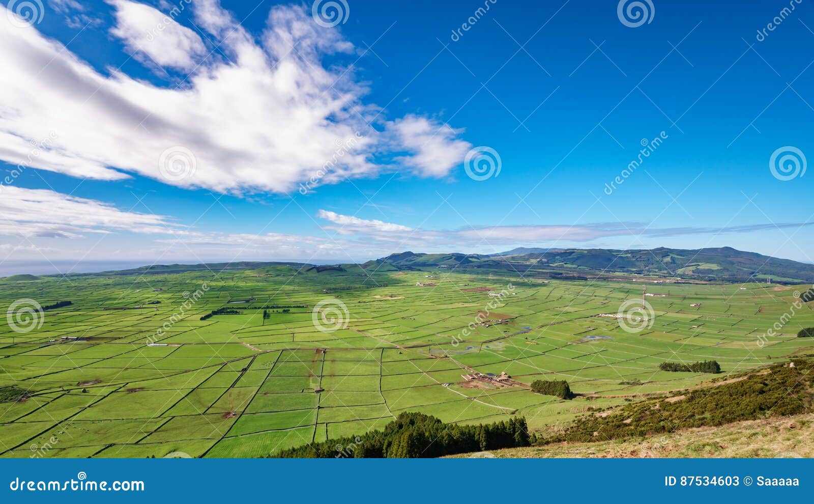 Farm Fields in the Terceira Island in Azores Stock Image - Image of ...