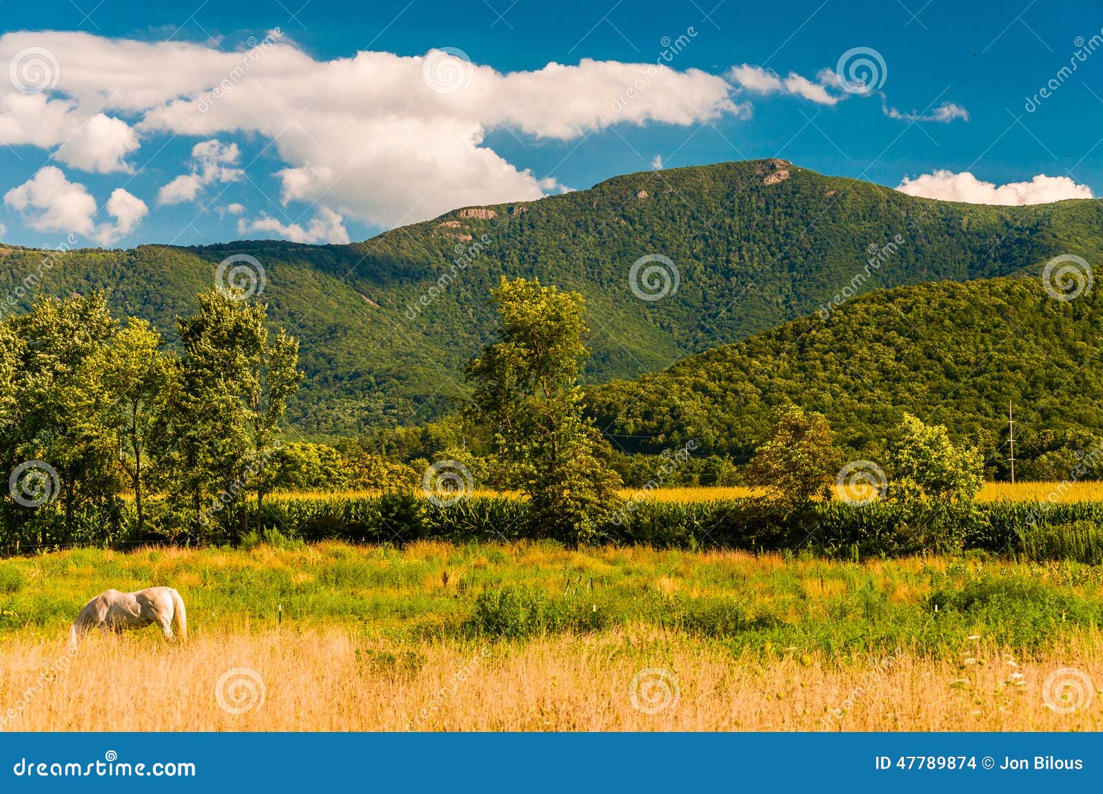 Farm Fields and View of the Appalachians in the Shenandoah Valley ...