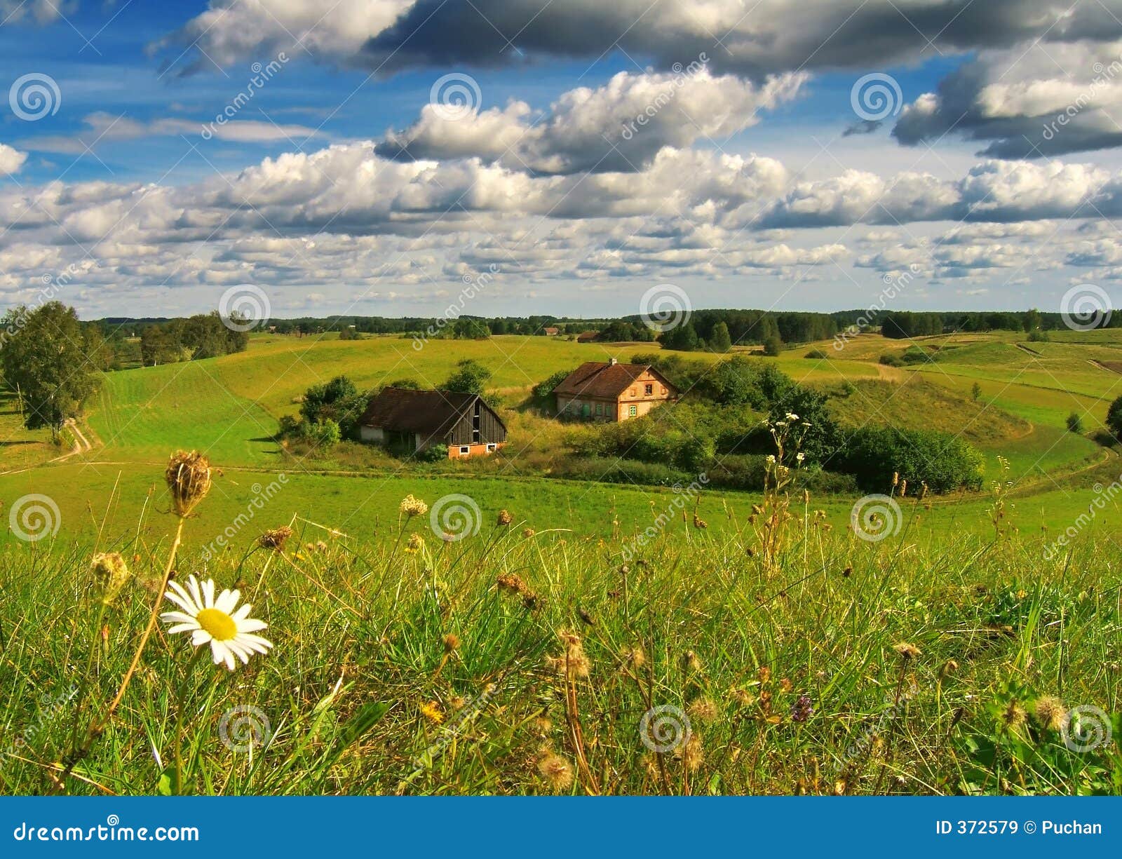 Farm with flower stock image. Image of europe, barn, cloud - 372579