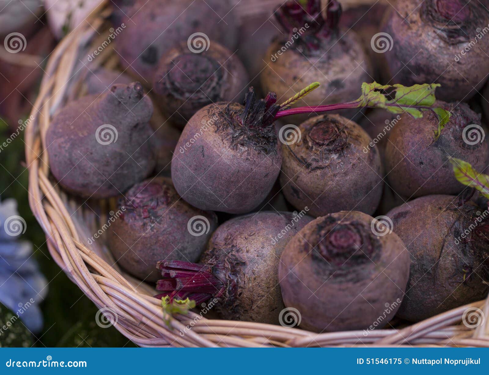 Farm Fresh Beets in a Basket. Stock Image - Image of diet, beetroot ...