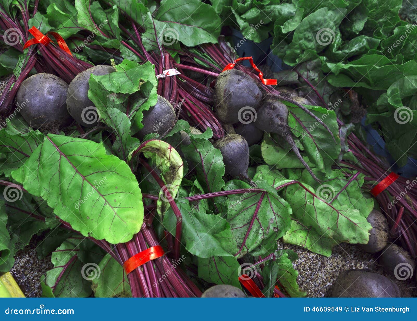 Farm Fresh Beets stock image. Image of green, fresh, vegetarian - 46609549
