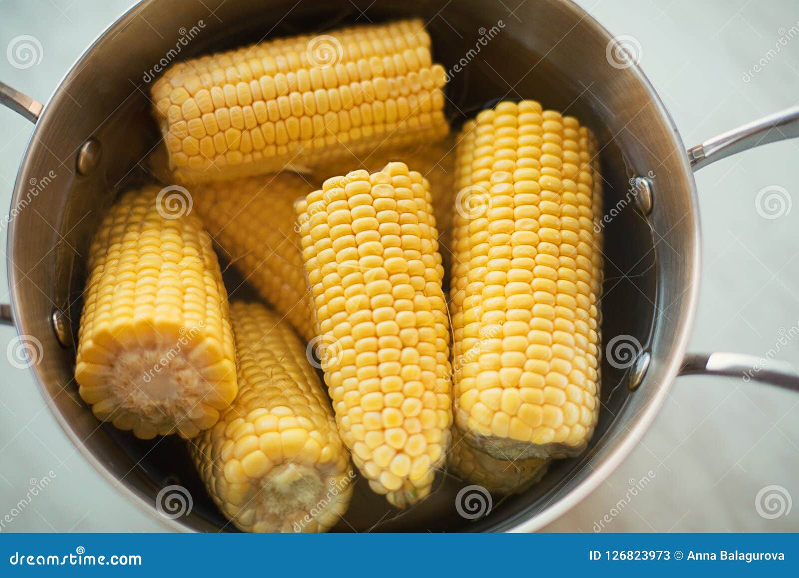 Farm Fresh Boiled Corn in a Pot Stock Image - Image of health, healthy ...