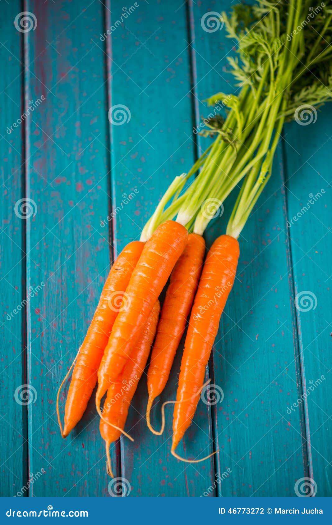 Farm Fresh Carrots on Blue Table Stock Photo - Image of bunch, carrot ...