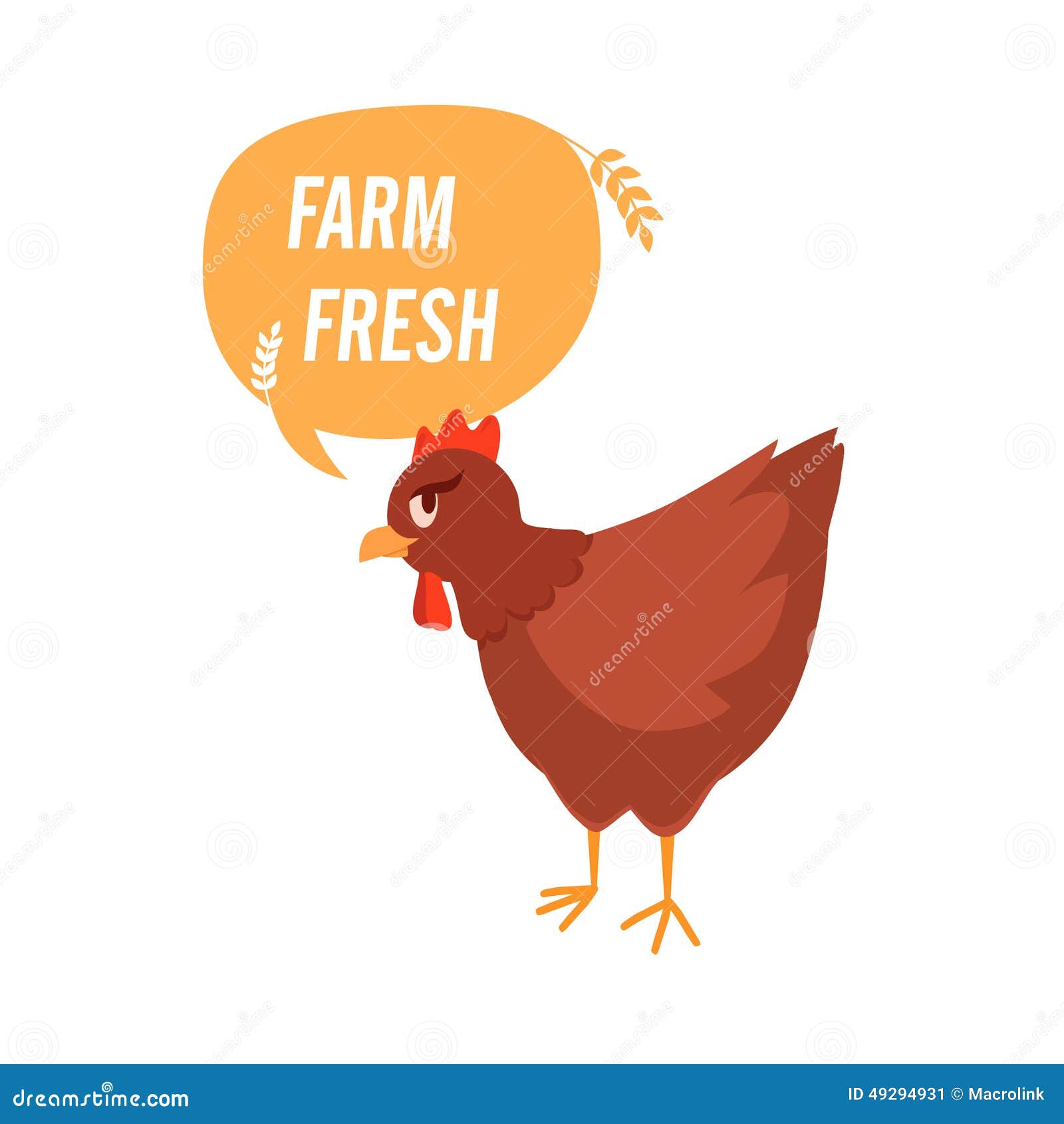 Farm Fresh. Chicken stock vector. Illustration of vector - 49294931