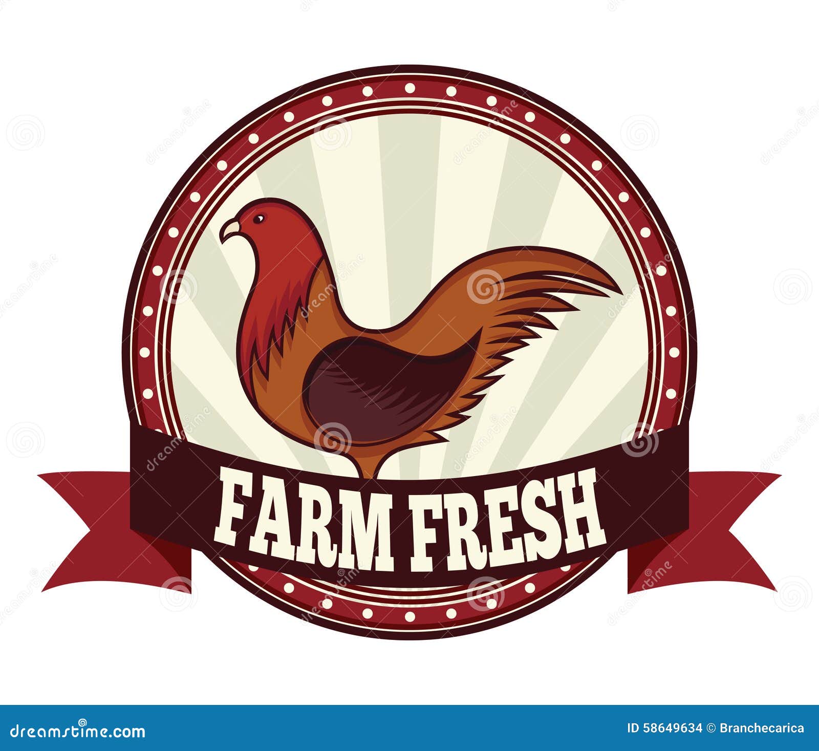 Farm fresh chicken stock vector. Illustration of chicken - 58649634