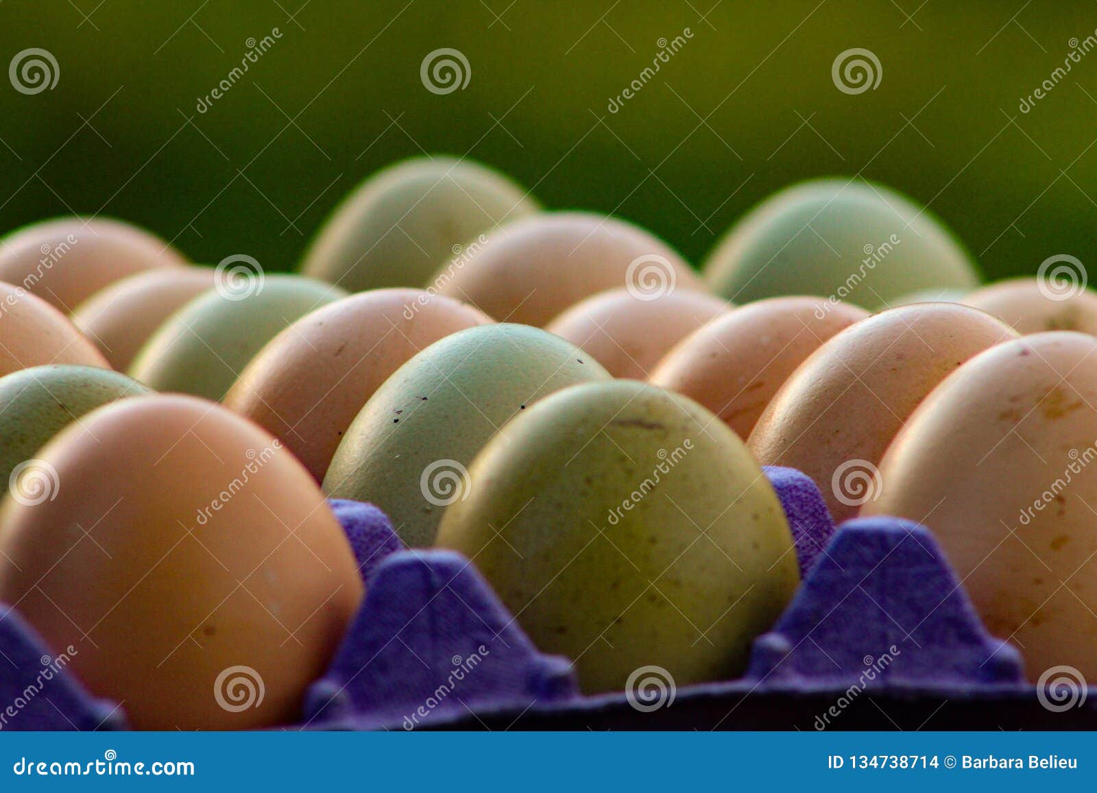 Farm fresh eggs stock photo. Image of boca, chicken - 134738714