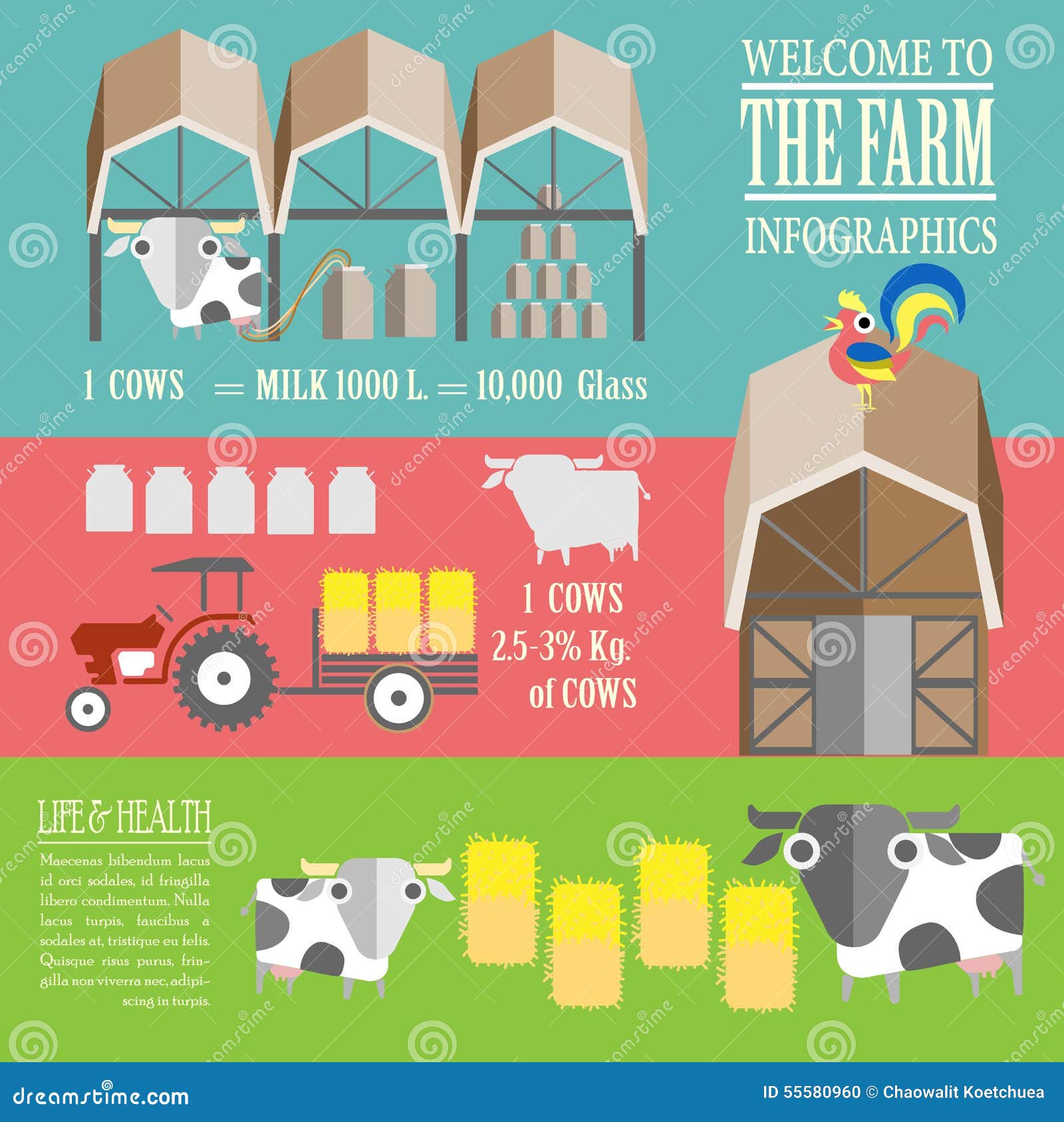Farm Fresh Infographics. stock vector. Illustration of barn - 55580960