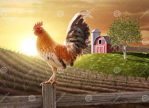 Farm fresh morning stock illustration. Illustration of sunrise - 2056367