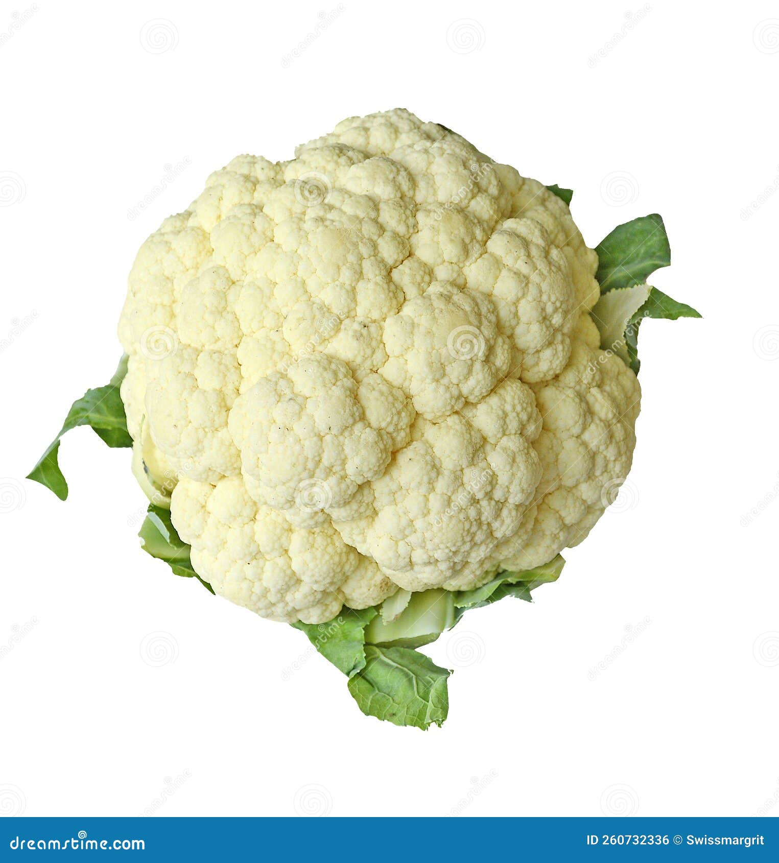 Farm Fresh Organic Cauliflower on a White Background Stock Photo ...