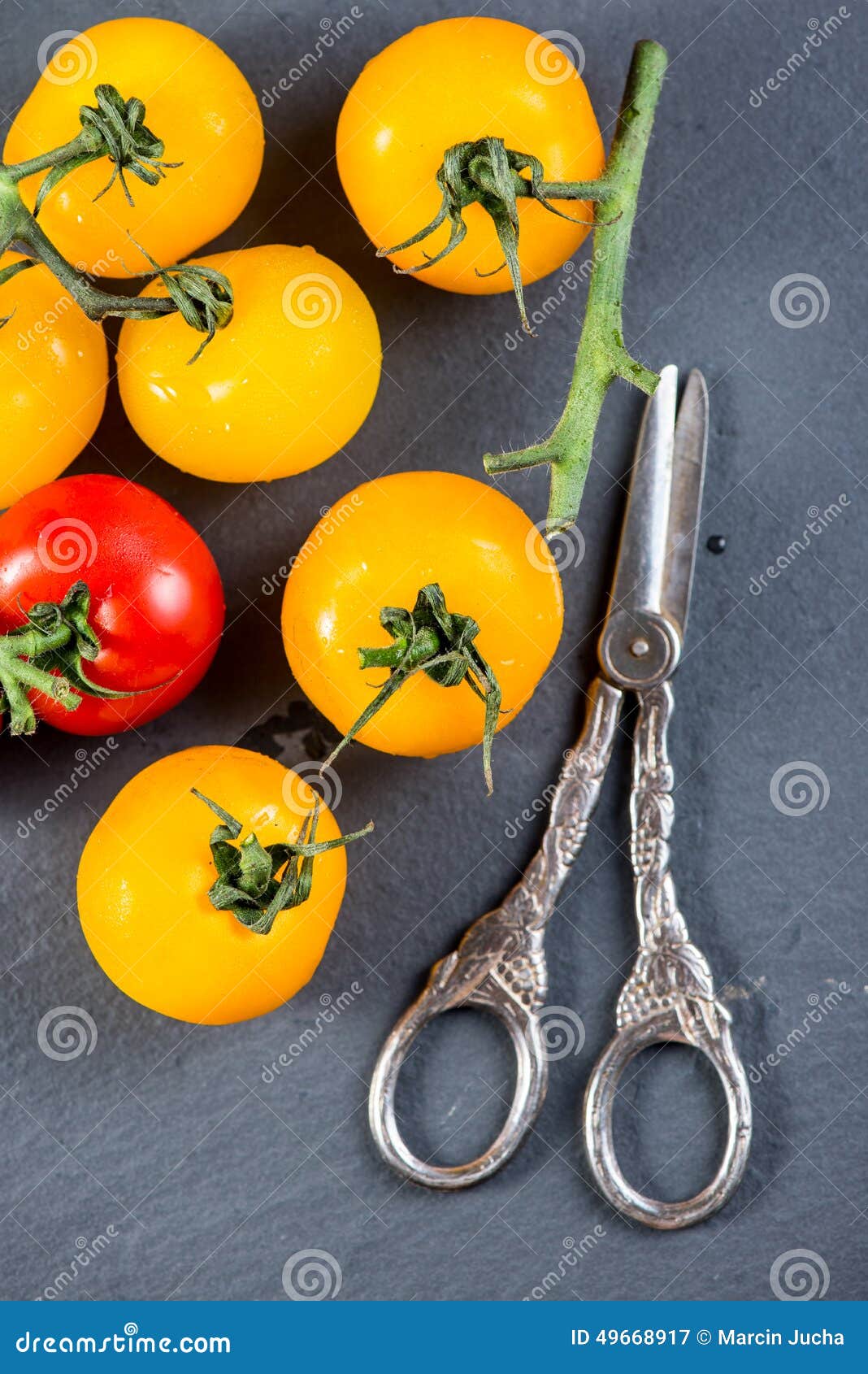 Farm Fresh Organic Tomatoes View from Above Stock Image - Image of diet ...