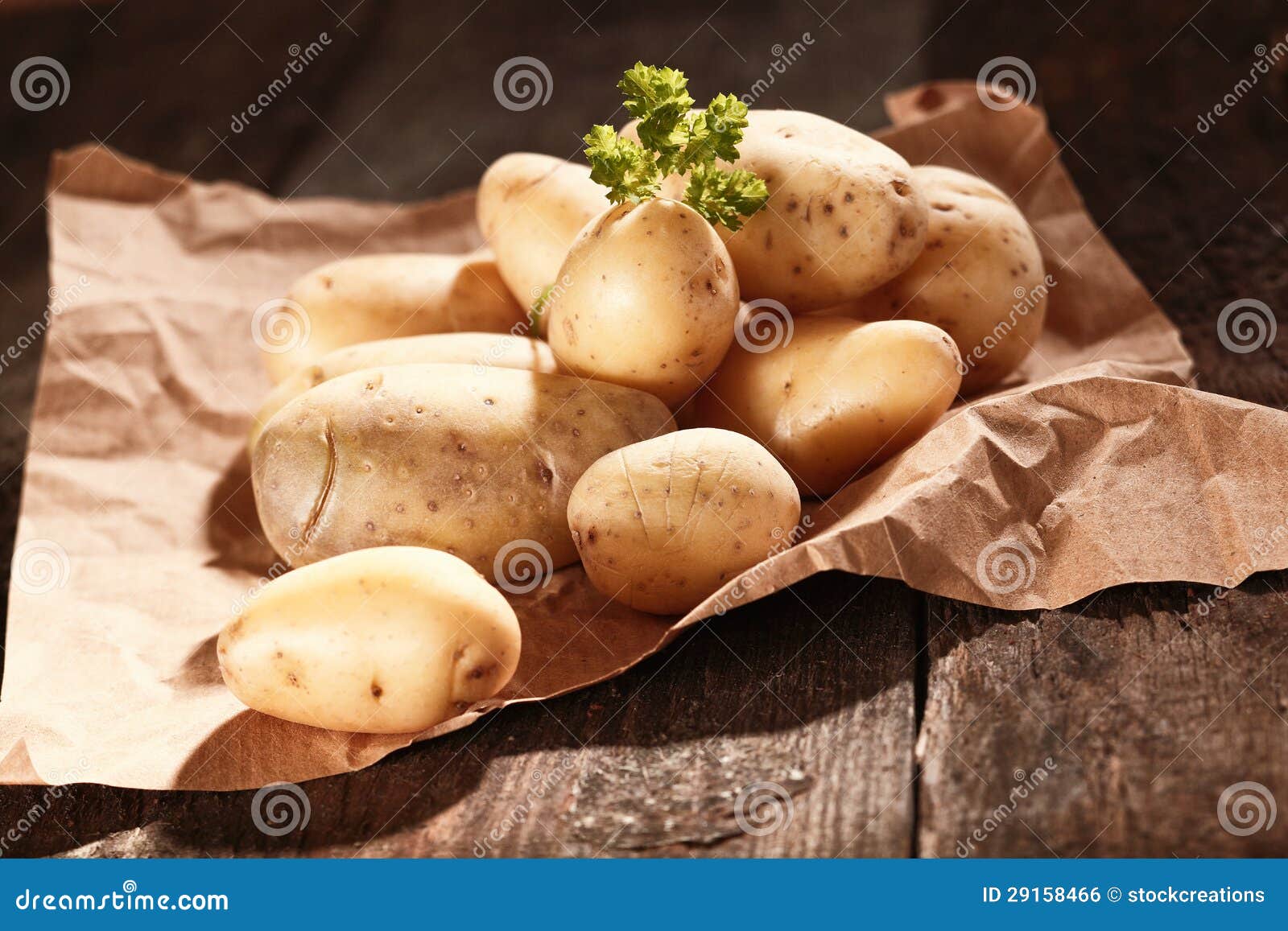 Farm fresh potatoes stock photo. Image of farming, natural - 29158466
