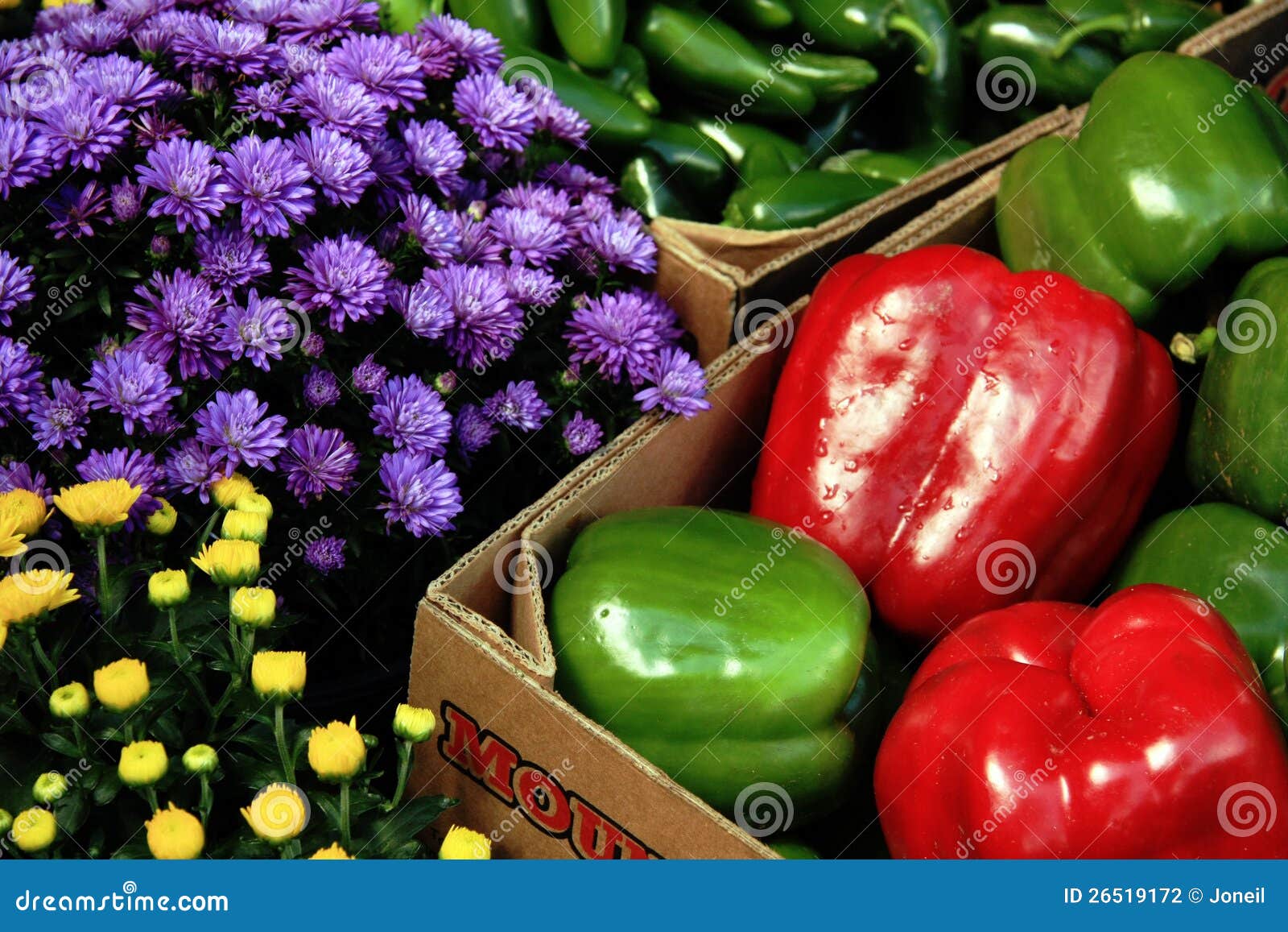 Farm Fresh Produce stock photo. Image of garden, organic - 26519172