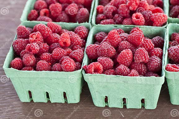 Farm Fresh Raspberries stock image. Image of agriculture - 23937003