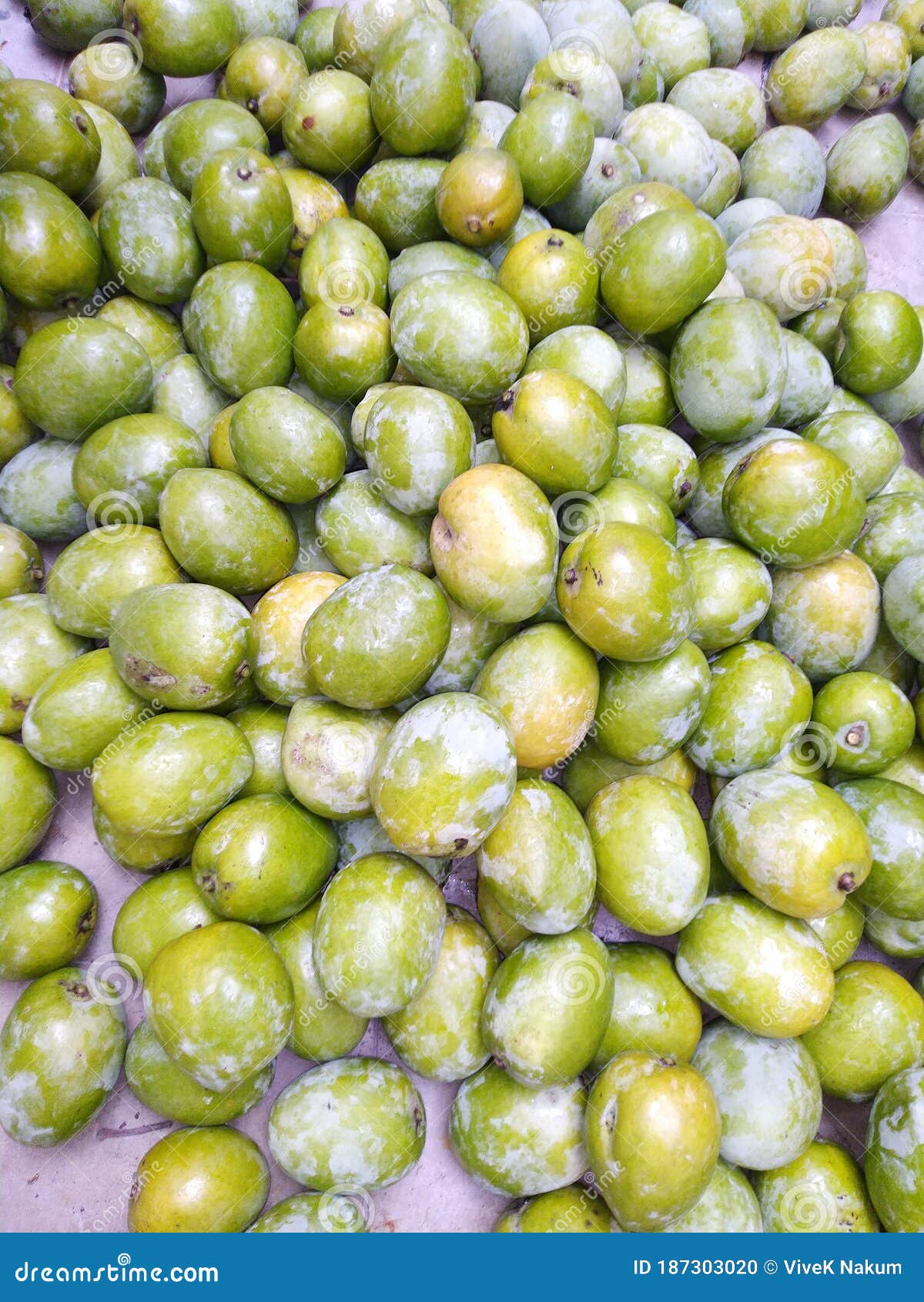 Farm Fresh Raw Mangos in Bulk Stock Photo - Image of farm, mangos ...