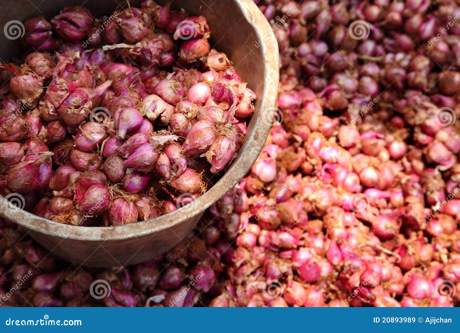 Farm fresh small onions stock image. Image of fresh, texture - 20893989