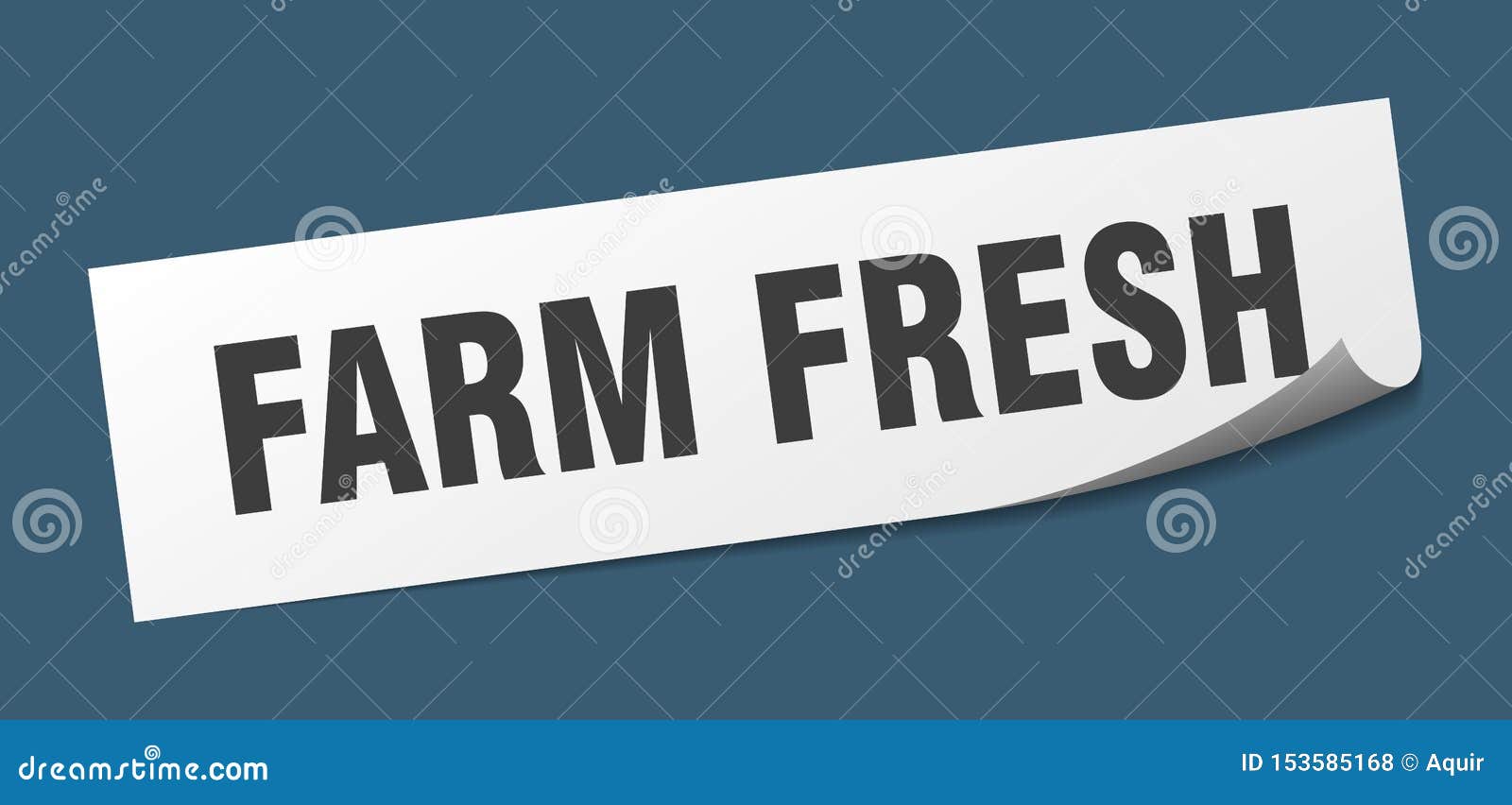 Farm fresh sticker. stock vector. Illustration of peeler - 153585168