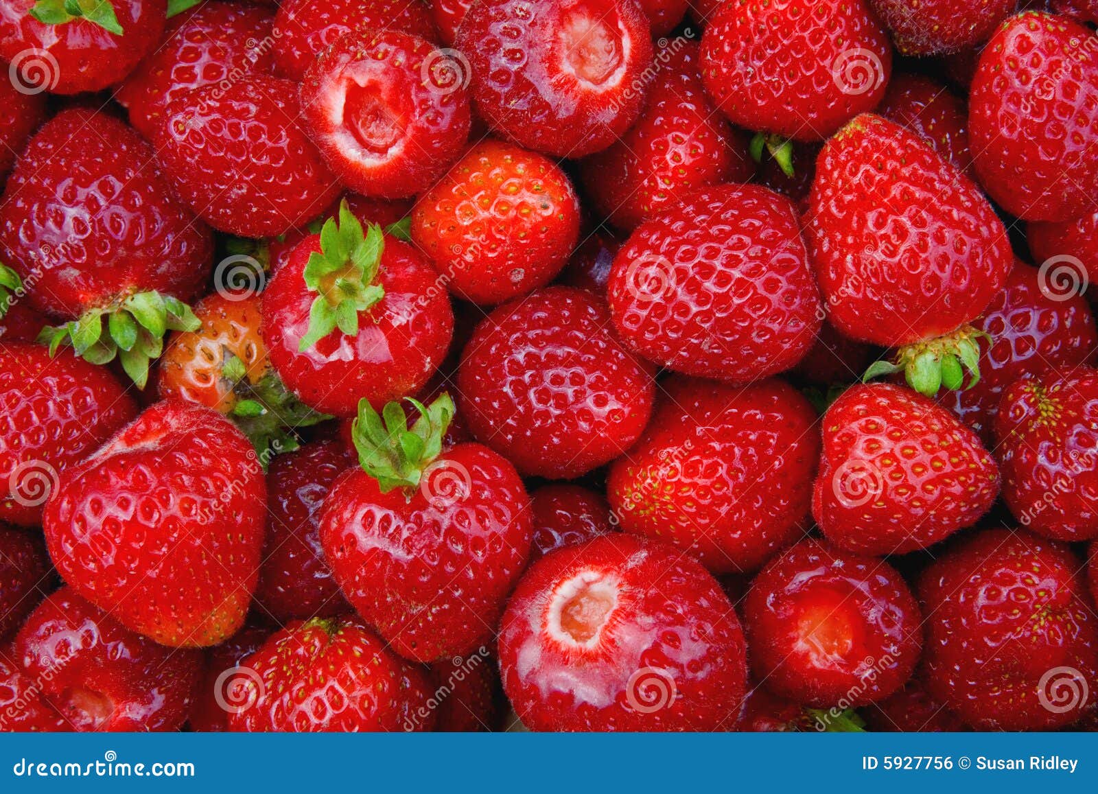 Farm Fresh Strawberries stock photo. Image of diet, gourmet - 5927756