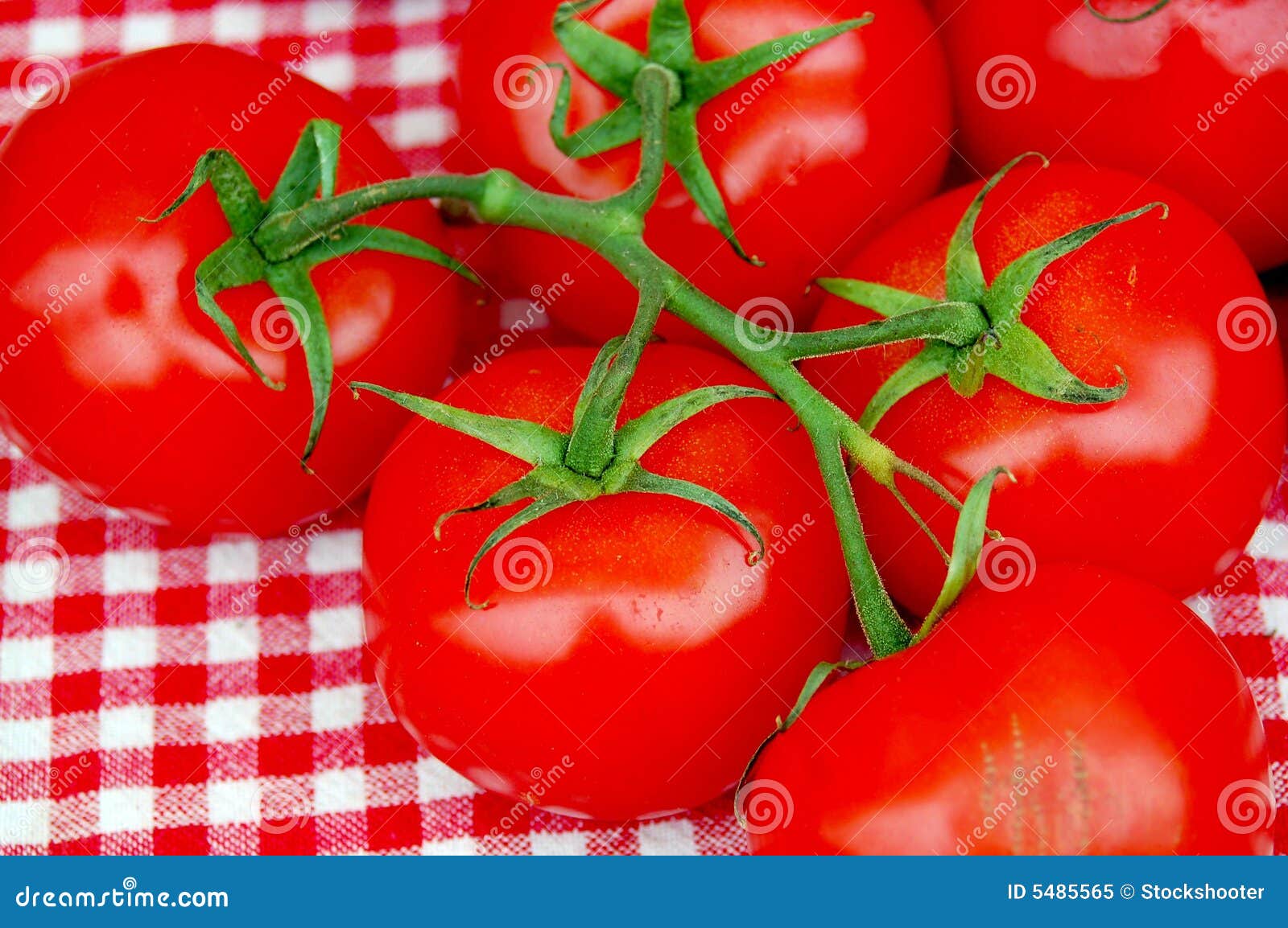 Farm Fresh Tomatoes stock image. Image of fresh, organic - 5485565