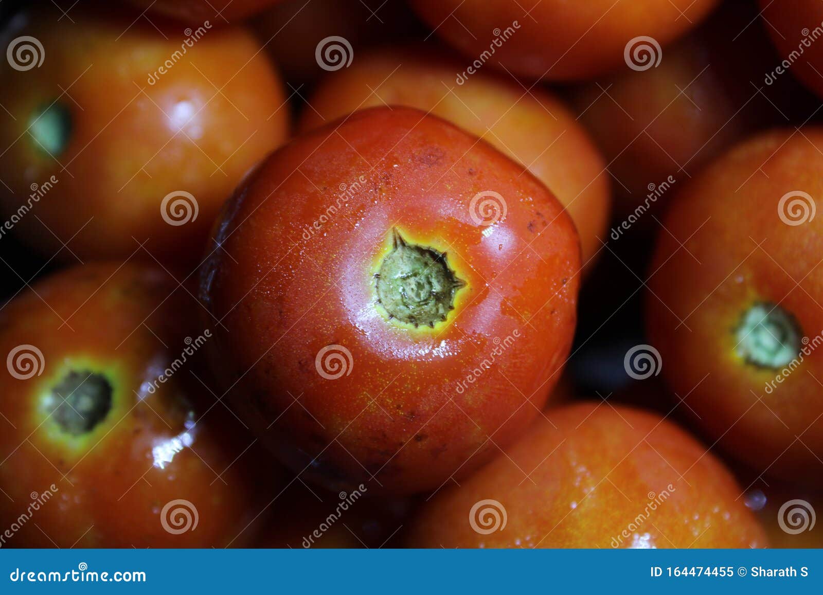 Farm fresh tomatoes stock image. Image of summer, cooking - 164474455