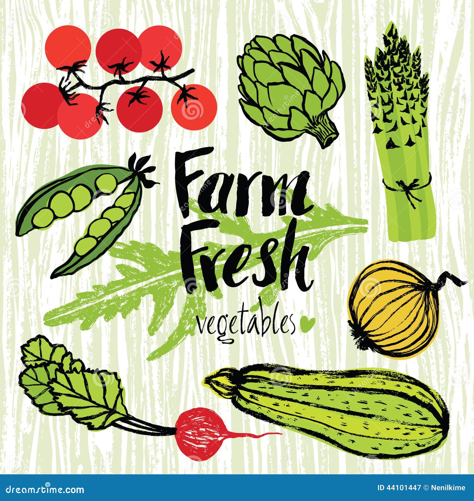 Farm fresh vegetables set stock vector. Illustration of isolated - 44101447