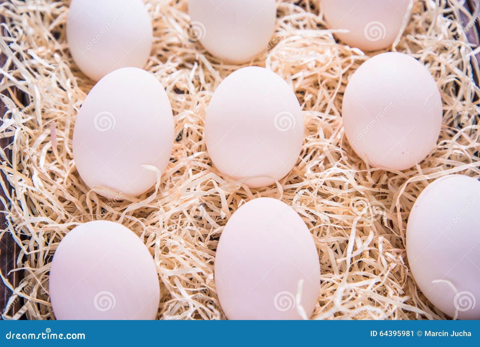 Farm fresh white eggs stock image. Image of fresh, market - 64395981