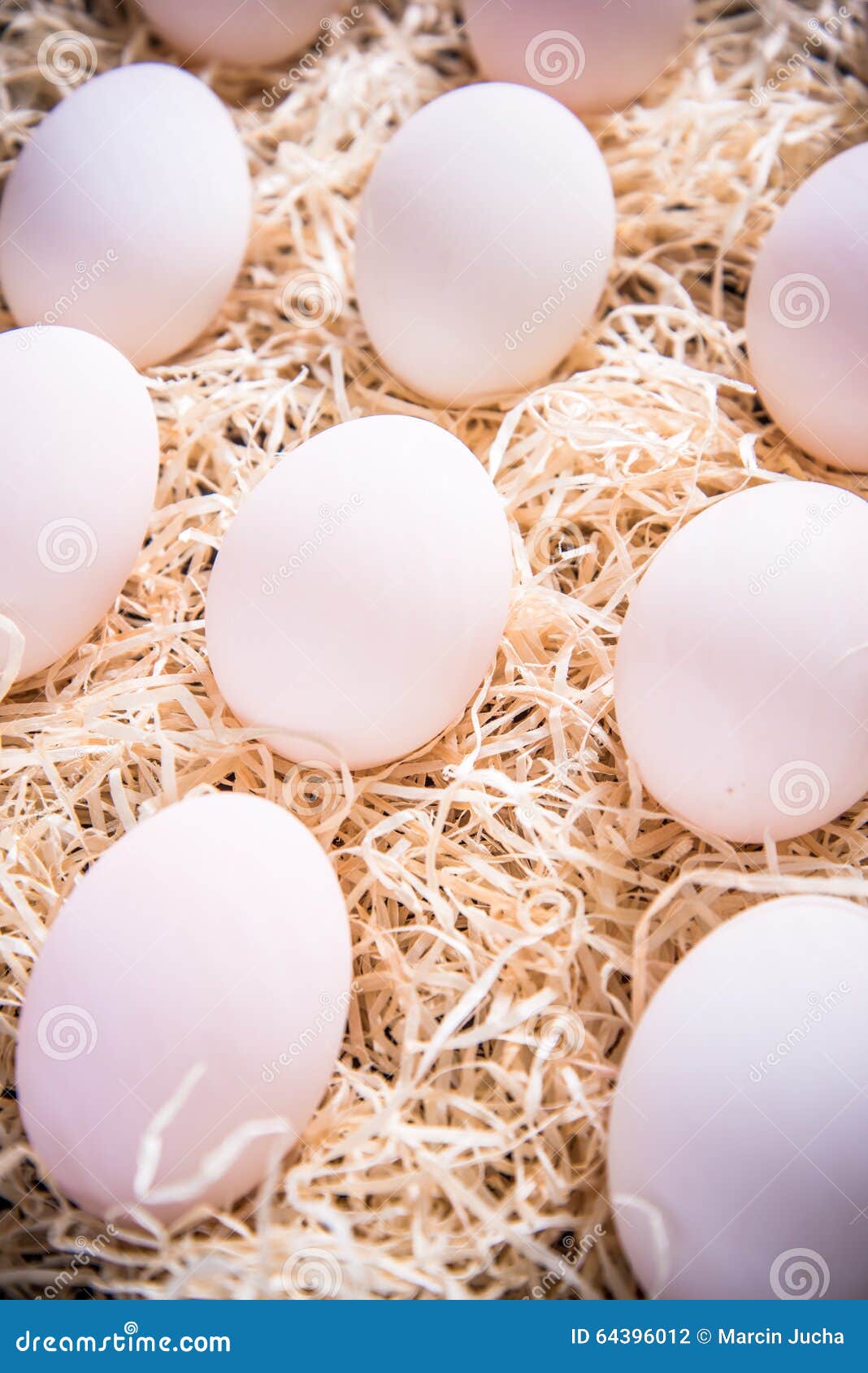 Farm fresh white eggs stock photo. Image of agriculture - 64396012