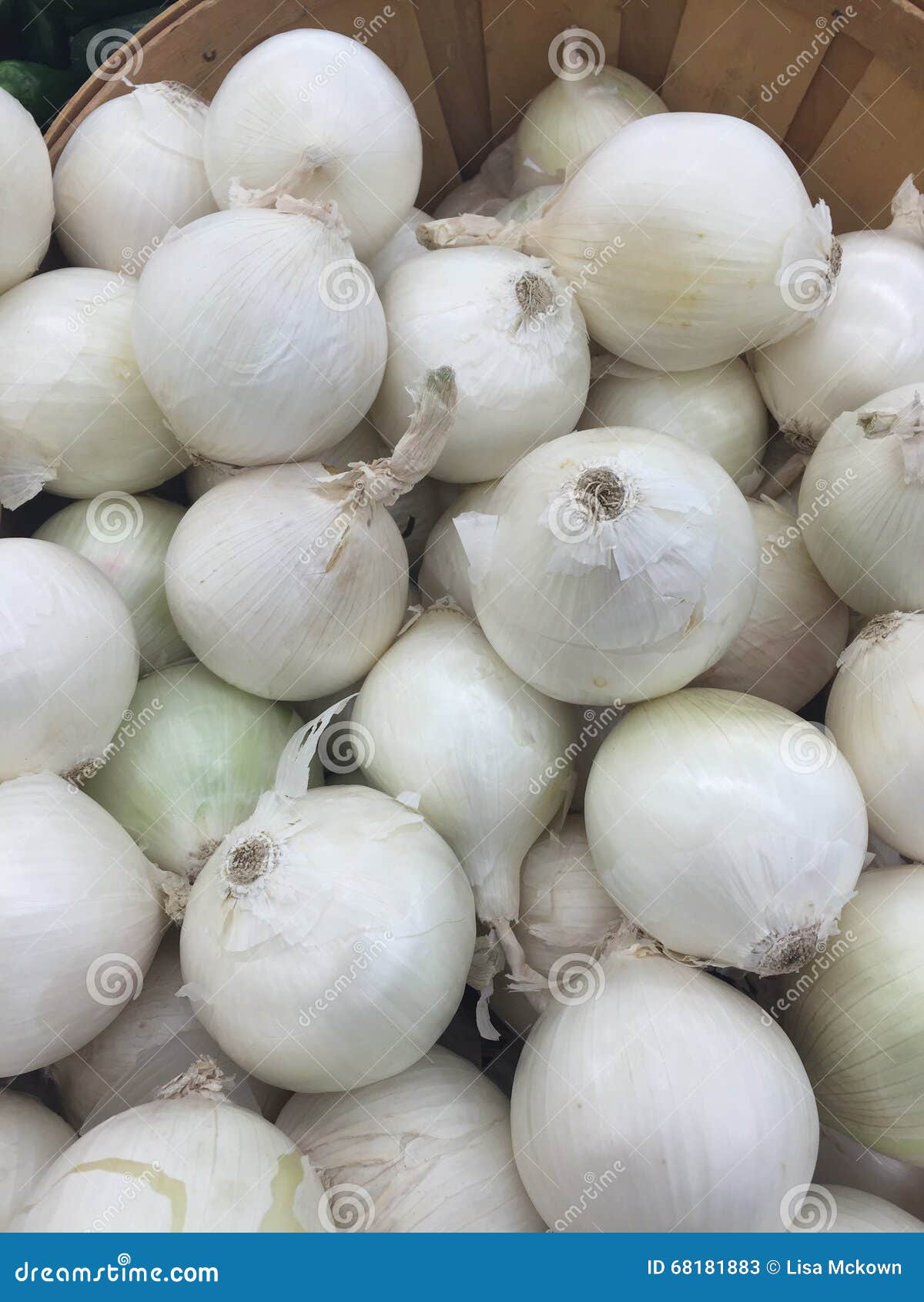 Farm fresh white onions stock image. Image of bushel - 68181883