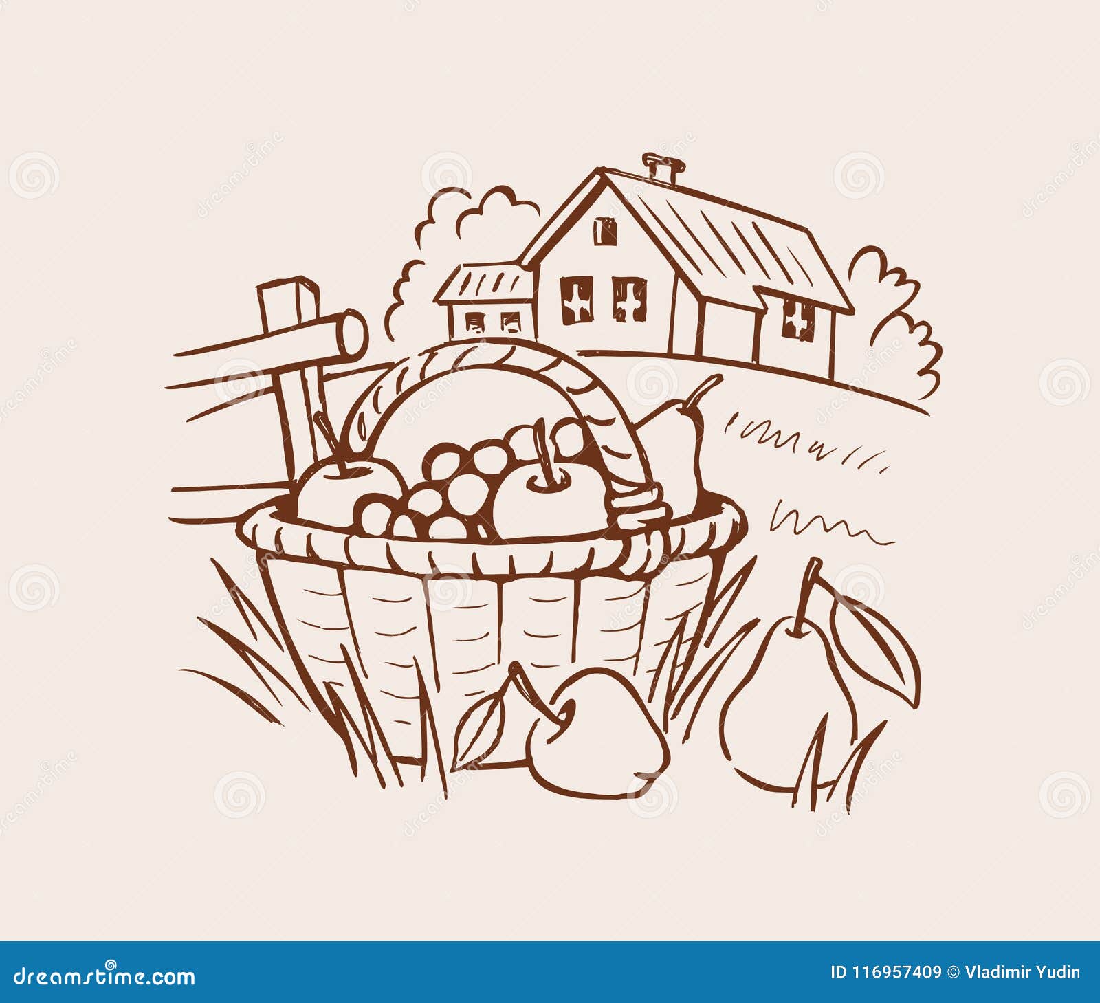 Farm fruit basket on grass stock vector. Illustration of market - 116957409