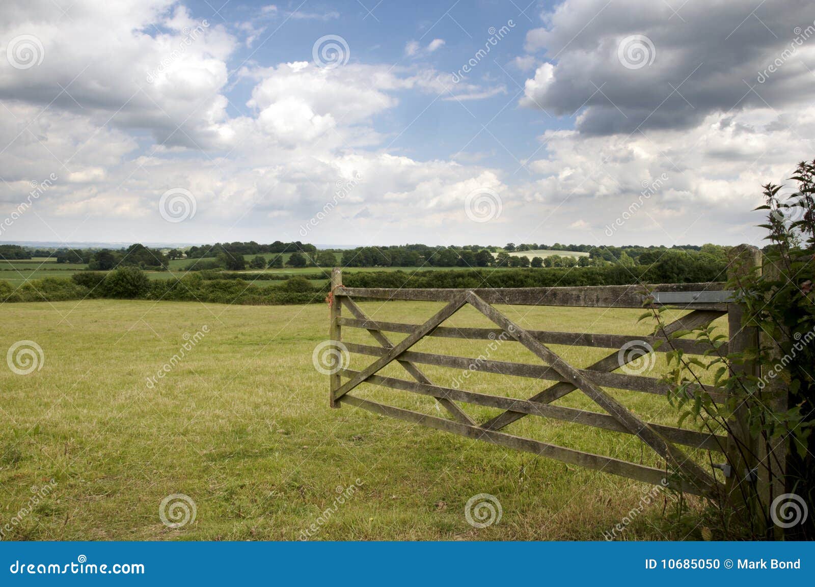 Farm gate stock photo. Image of blue, farm, scenery, summer - 10685050