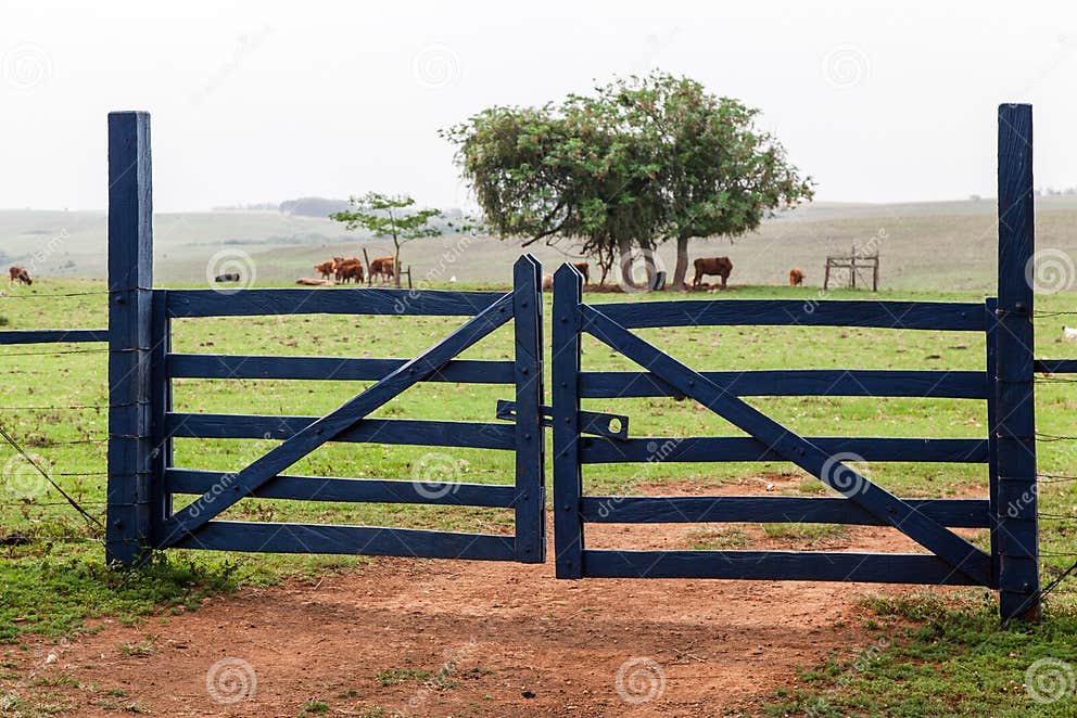Farm Gate stock image. Image of grass, latin, wood, farm - 28989171