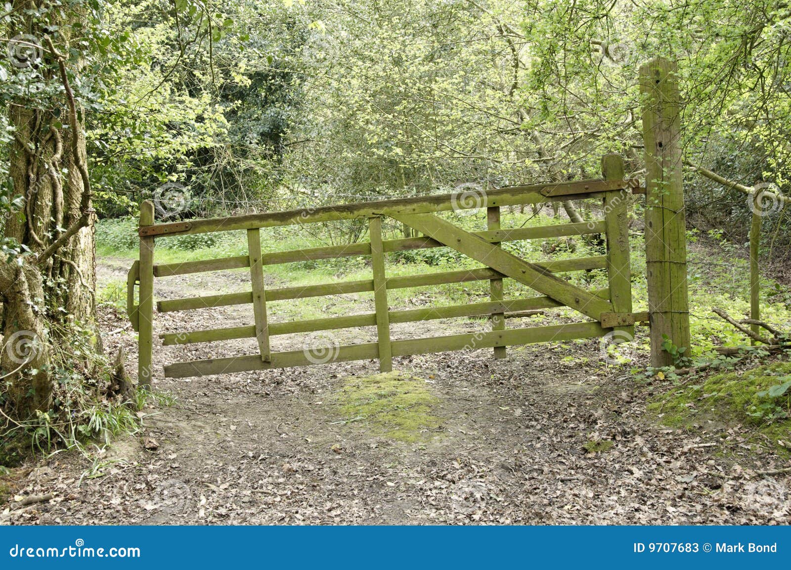 Farm gate stock image. Image of footpath, gate, track - 9707683