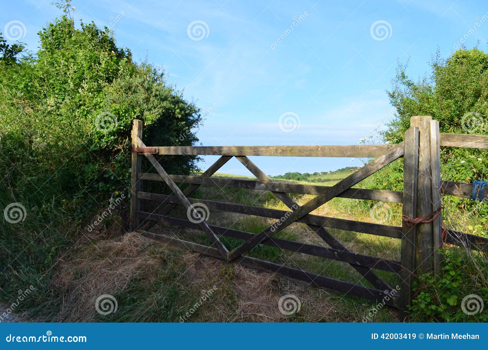 Farm gate in England stock image. Image of england, rural - 42003419