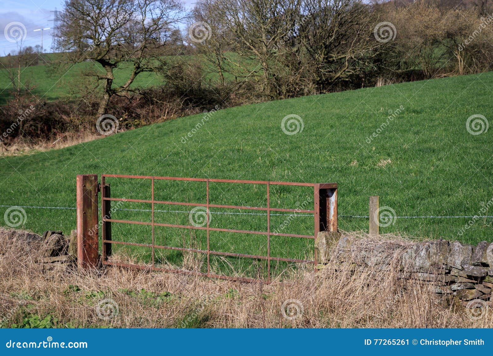 Farm gate stock image. Image of grass, cloud, clouds - 77265261