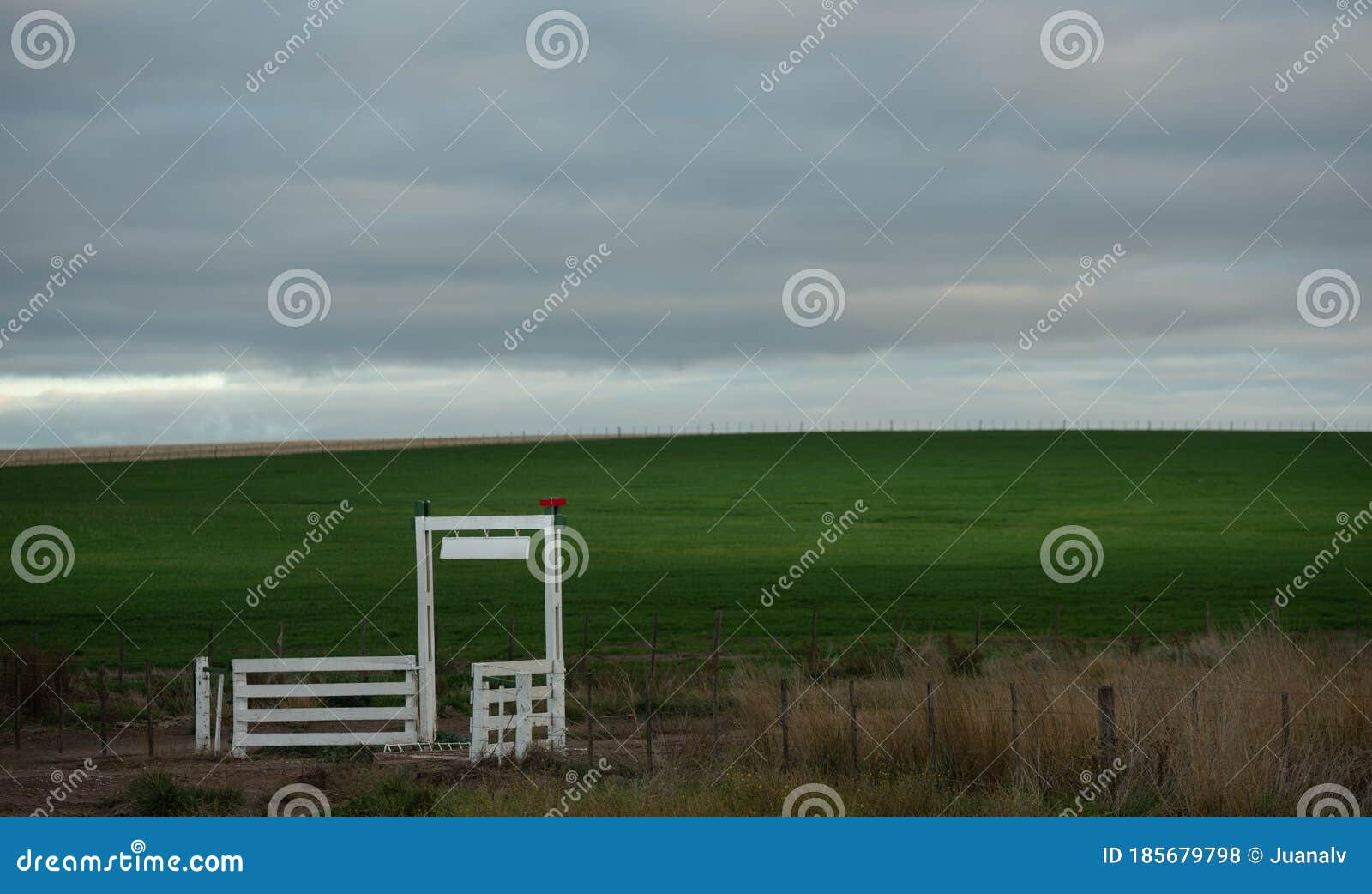 Farm gate and green field stock photo. Image of estate - 185679798