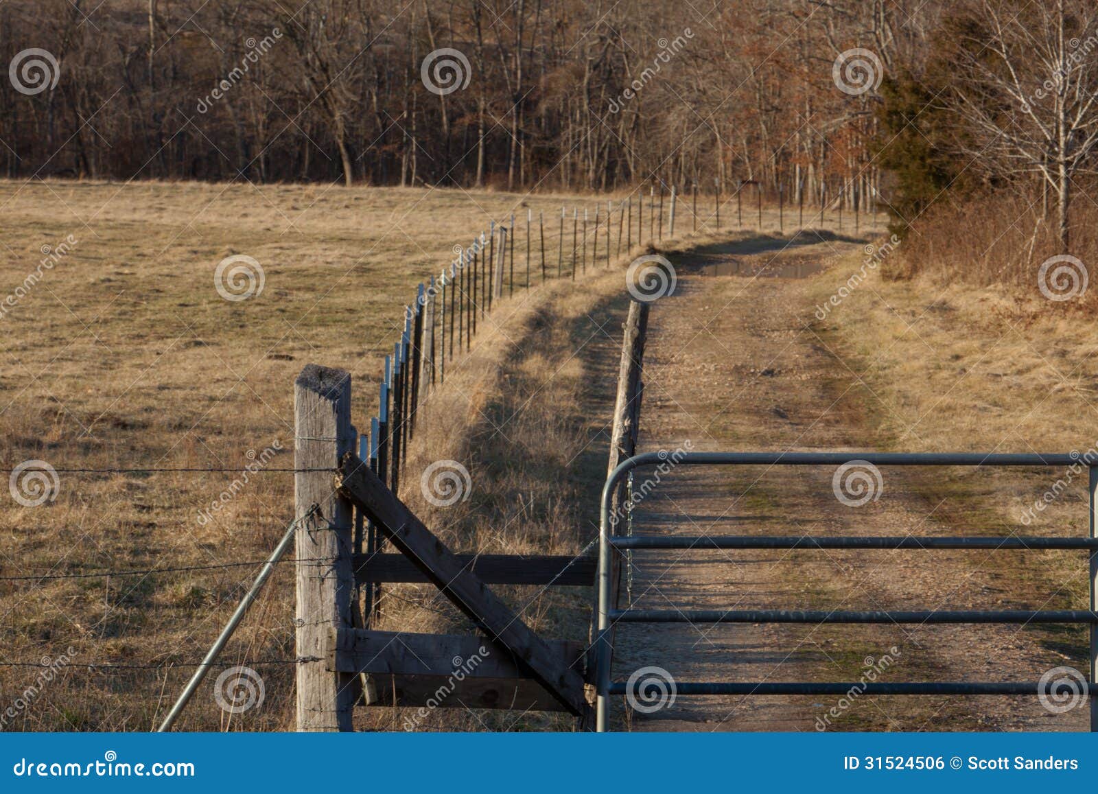 Farm Gates stock photo. Image of rural, road, farm, gate - 31524506