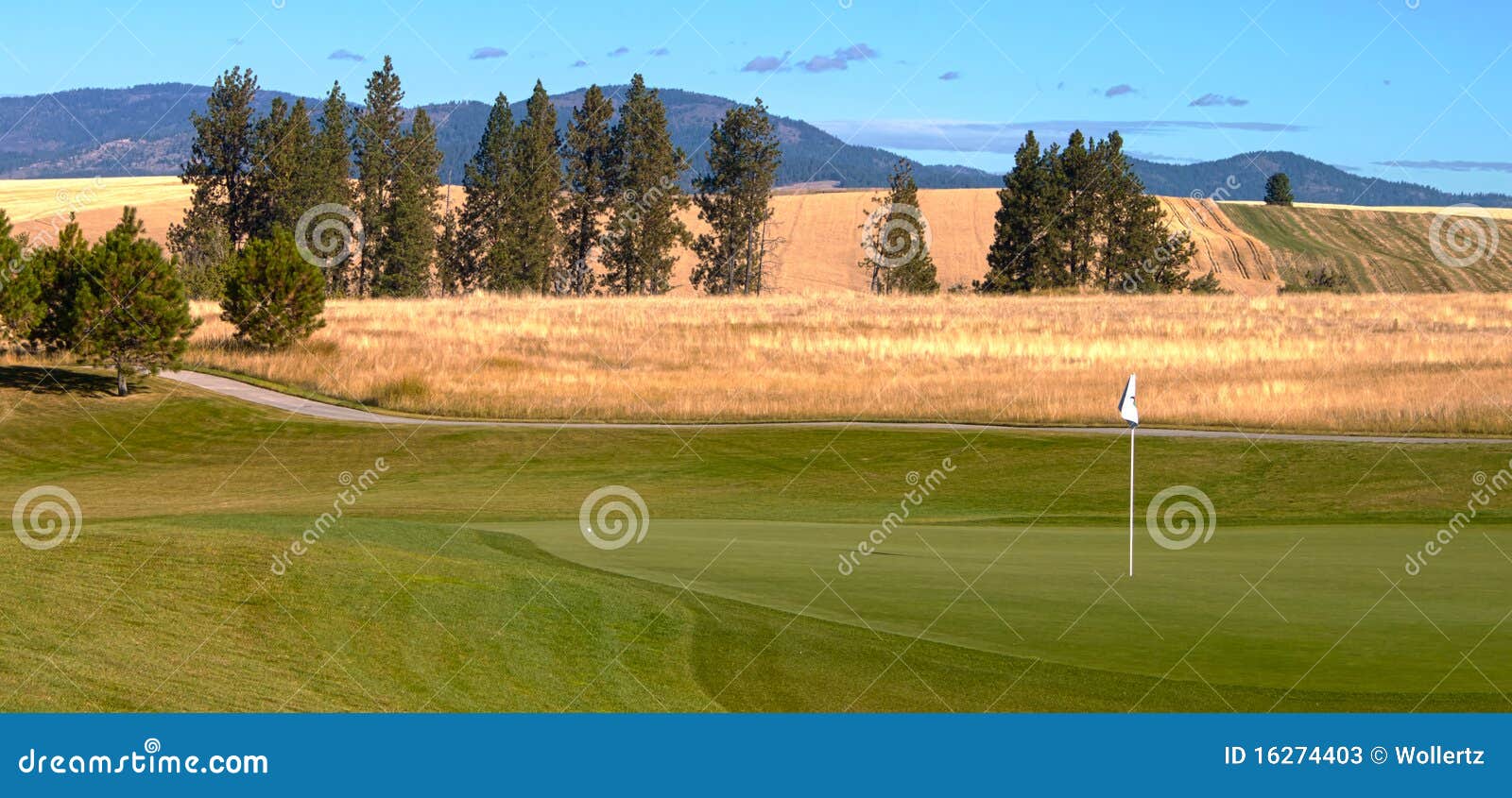 Farm or Golf Course stock image. Image of afternoon, entertaining ...