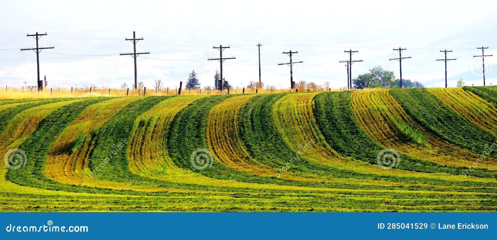 Farm Ground with Furrows in Field Mountains in Background Stock Image ...
