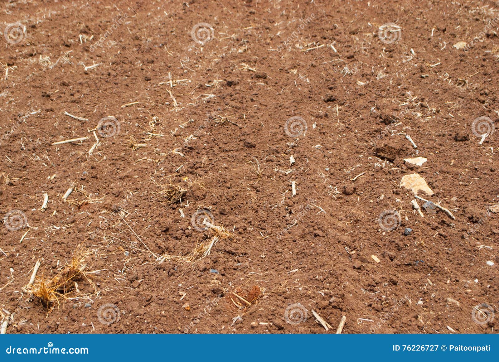 Farm Ground Prepare Planting Stock Image - Image of land, farm: 76226727