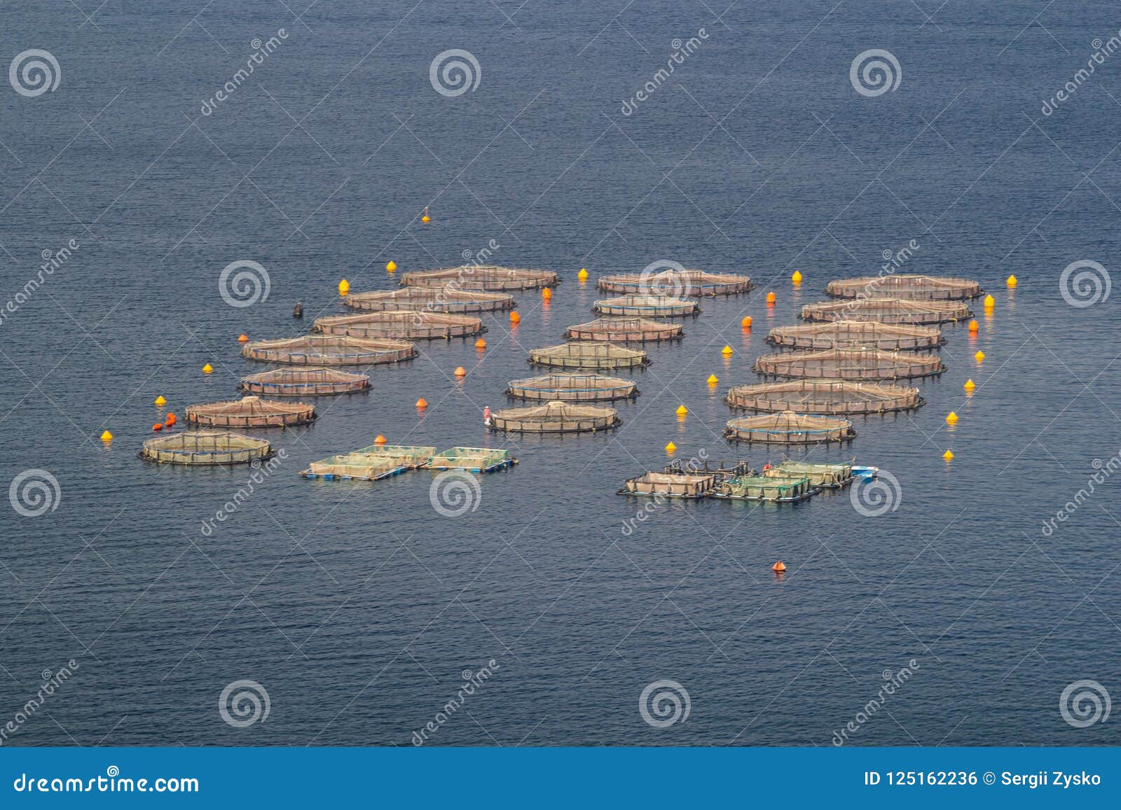 The Farm for Growing Shellfish. Albania Stock Photo - Image of black ...