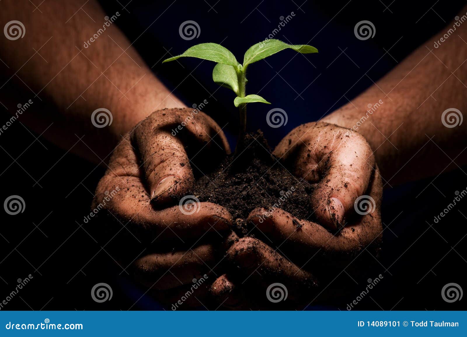 Farm Hands stock image. Image of conservation, fingers - 14089101