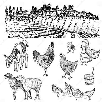 Farm hands drawing stock vector. Illustration of cattle - 46183095