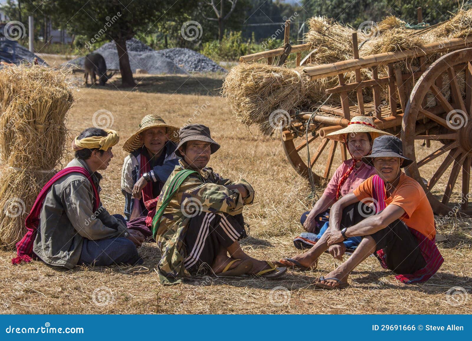 Farm Hands - Shan State - Myanmar (Burma) Editorial Photo - Image of ...